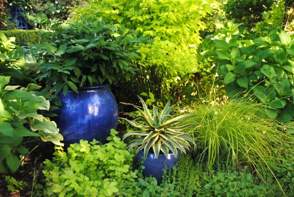 Make Your Garden Containers Work For You | Garden Design
