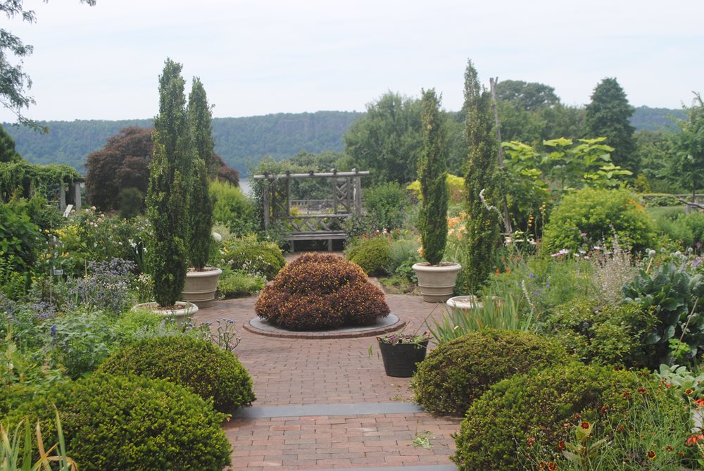 Structural Plants & How to Use Them in Your Garden | Garden Design