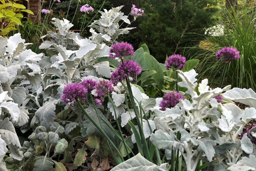 Bulb Garden Design: 7 Tips for a Gorgeous Display | Garden Design