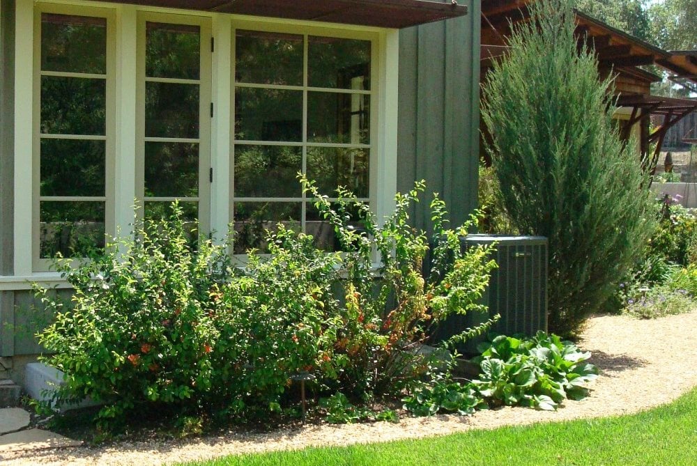 Disguising Eyesores in the Garden | Garden Design