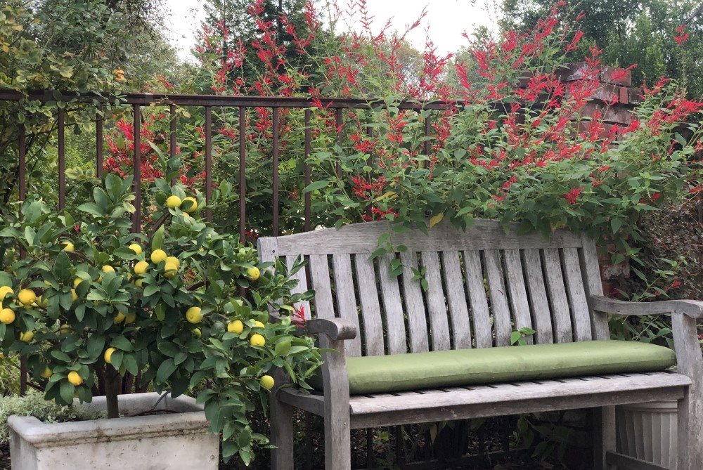 Make Your Garden Containers Work For You | Garden Design