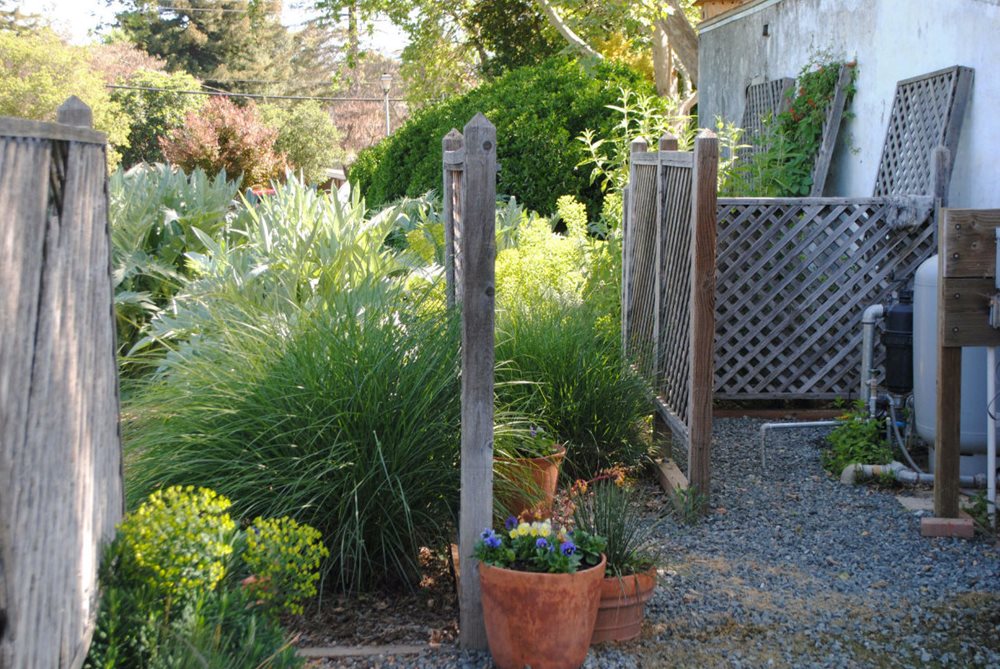 How To Hide Garden Hiding Ugly Things: Garden Design Problem Solving