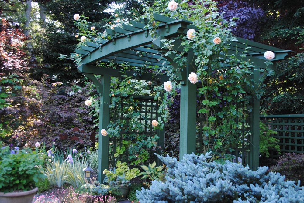 Rose Arbor Design Garden Backyard 60 Wedding Arch And Arbor Ideas For