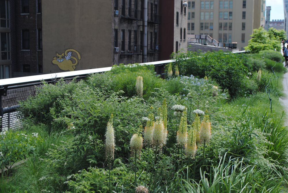 Foliage Garden: Designing With Foliage Over Flowers | Garden Design