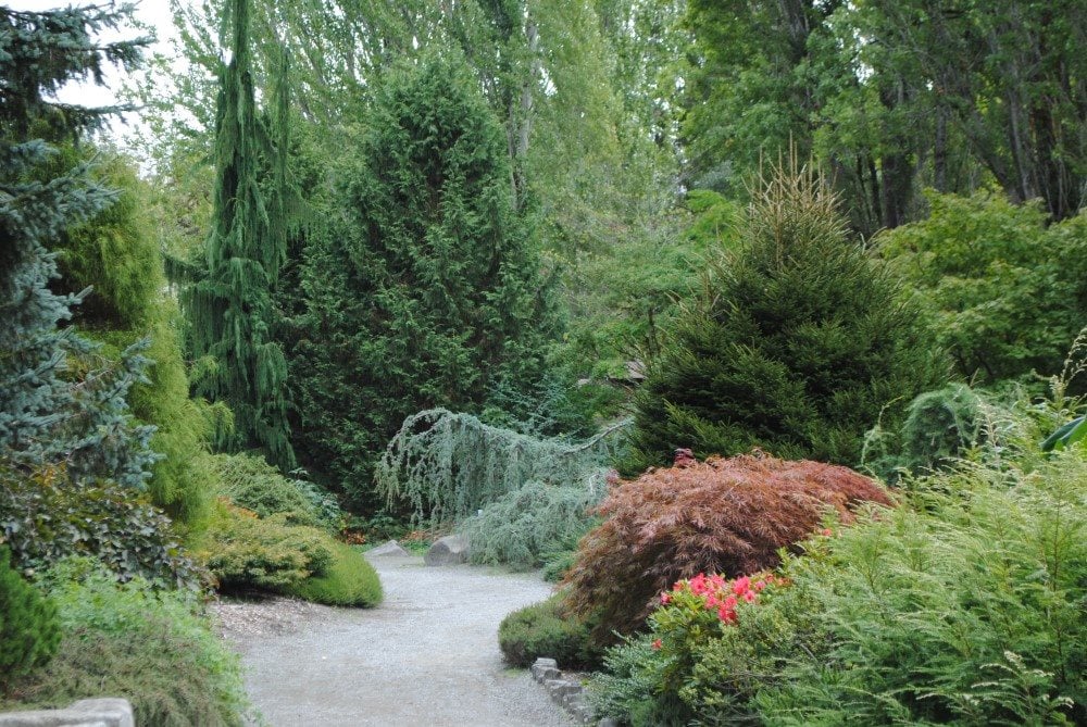 Landscape Design Elements What Is Modern Landscape Design? Landscape