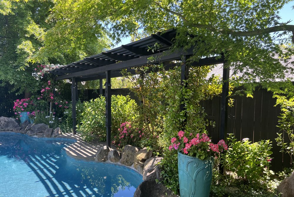 Pool Trellis Complete Backyard Transformation 💪🏼🤩 This