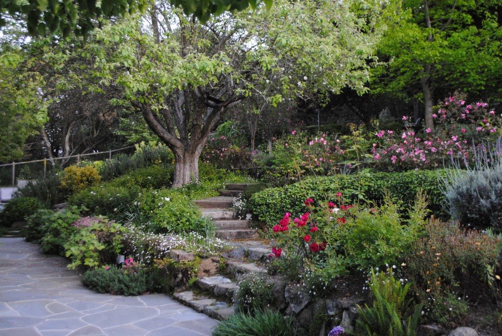 10 Essential Elements & Principles of Landscape Design | Garden Design