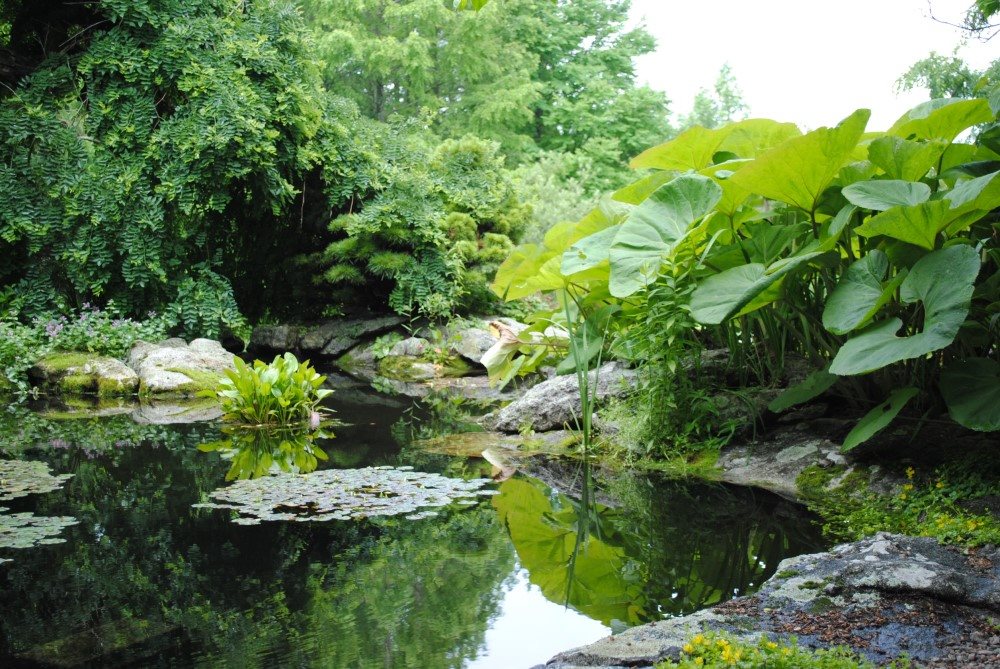 10 Essential Elements & Principles of Landscape Design | Garden Design