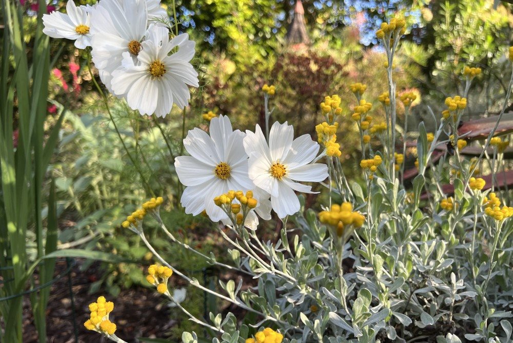 Creating Echoes in the Garden | Garden Design