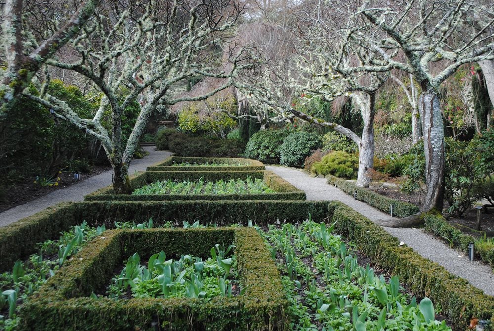 Year-Round Garden Design: Four Season Color & Structure | Garden Design