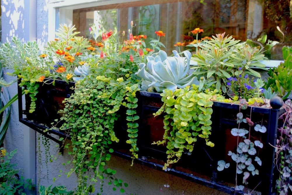 Make Your Garden Containers Work For You | Garden Design