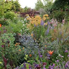 30+ Garden Ideas - Inspirational Gardening Ideas | Garden Design