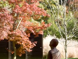 Autumn Gardening Guide | Garden Design