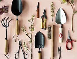 June Gardening Checklist for Washington D.C., Virginia & Maryland ...