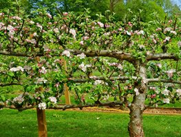 February Gardening Checklist for the South | Garden Design