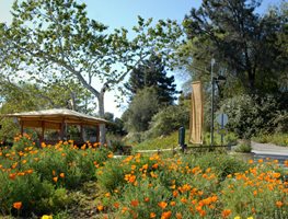 January Gardening Checklist for Southern California | Garden Design