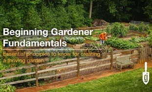 How to Garden - Gardening Basics for Beginners | Garden Design