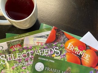 46 Ways for Gardeners to Celebrate the First Day of Spring | Garden Design