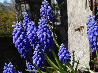 46 Ways for Gardeners to Celebrate the First Day of Spring | Garden Design