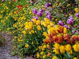 46 Ways for Gardeners to Celebrate the First Day of Spring | Garden Design