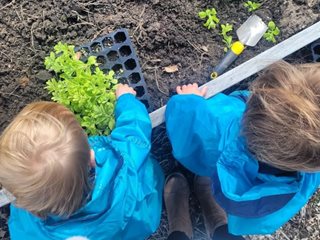 46 Ways for Gardeners to Celebrate the First Day of Spring | Garden Design