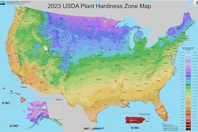 USDA Growing Zones Explained & What They Mean for Your Garden | Garden ...