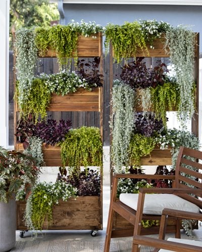 Vertical Gardening Ideas: How & What to Grow Vertically | Garden Design Vertical Gardening Ideas: How & What to Grow Vertically | Garden Design