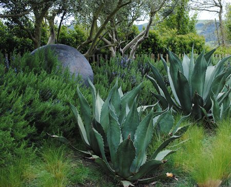 Structural Plants & How to Use Them in Your Garden | Garden Design