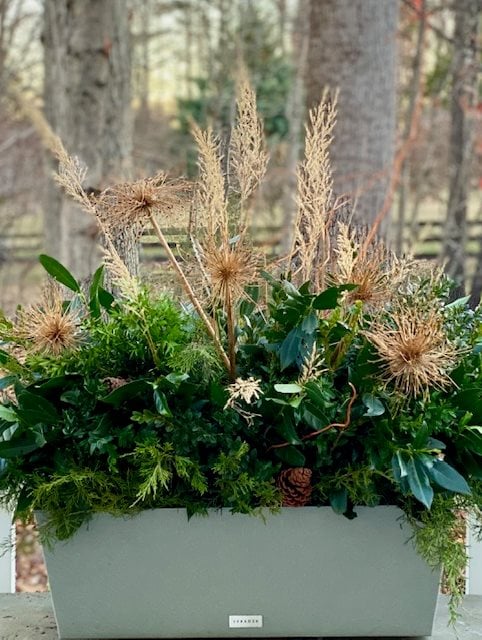 Winter & Holiday Container Ideas | Garden Design