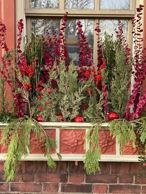 Winter & Holiday Container Ideas | Garden Design