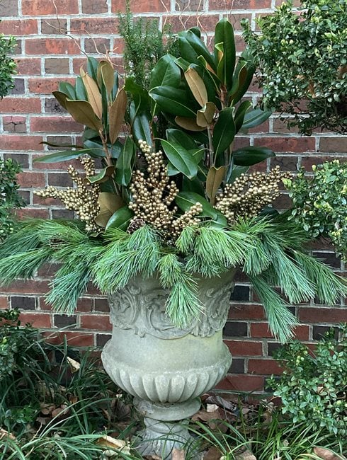 Winter & Holiday Container Ideas | Garden Design