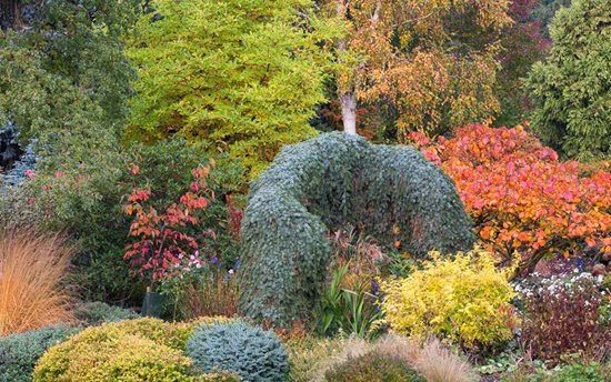 What’s in the magazine? | Garden Design