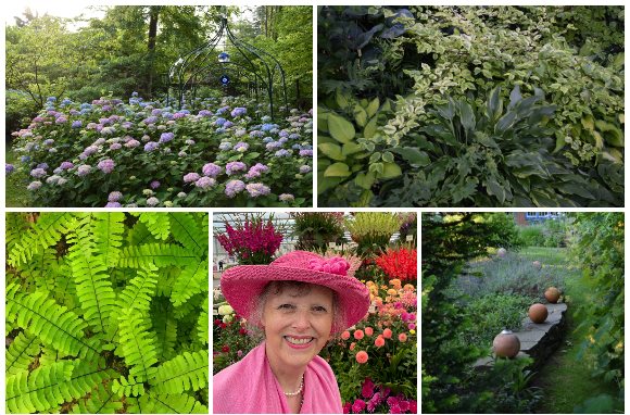 How to Create a Cut Flower Garden | Garden Design