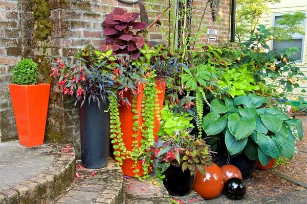 Container Garden Pictures - Gallery | Garden Design