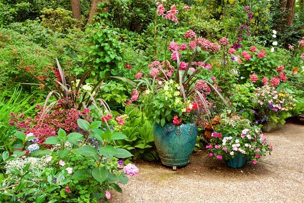 Container Garden Pictures - Gallery | Garden Design