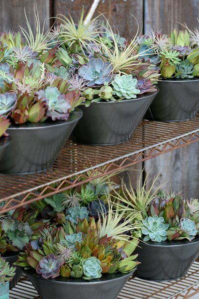 Floral Design Studio at Flora Grubb Gardens - Gallery | Garden Design