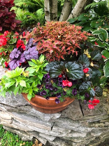 Grand Garden Show 2022 - Gallery | Garden Design