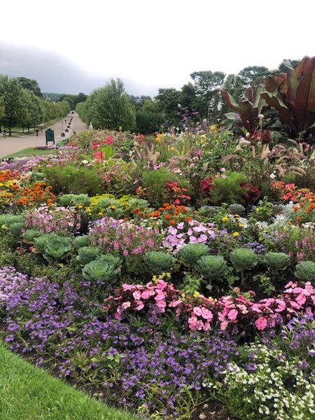 Grand Garden Show 2022 - Gallery | Garden Design