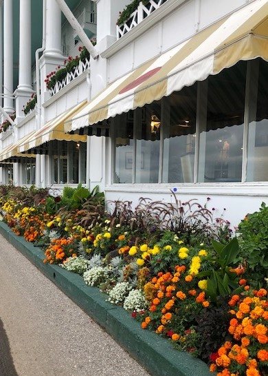 Grand Garden Show 2022 - Gallery | Garden Design