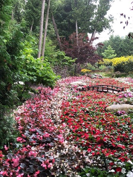 Grand Garden Show 2022 - Gallery | Garden Design
