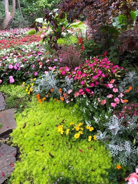 Grand Garden Show 2022 - Gallery | Garden Design