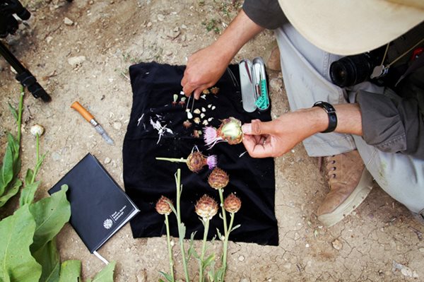 Kurdistan: Recovering a Garden of Paradise, Photo Gallery - Gallery ...