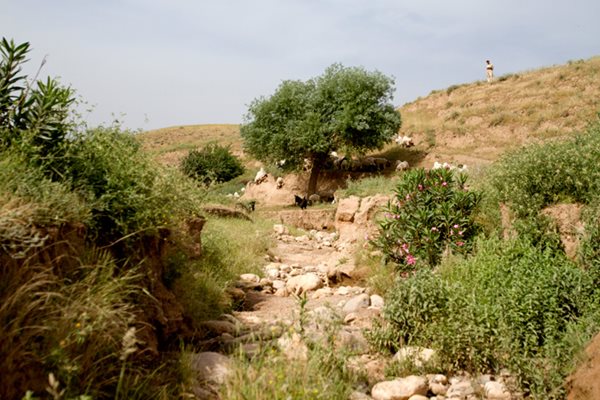 Kurdistan: Recovering a Garden of Paradise, Photo Gallery - Gallery ...