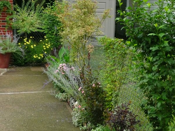 Maple Garden in Ohio - Gallery | Garden Design