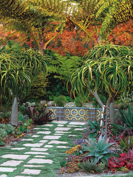 Mediterranean Berkeley Garden, Photo Gallery - Gallery | Garden Design