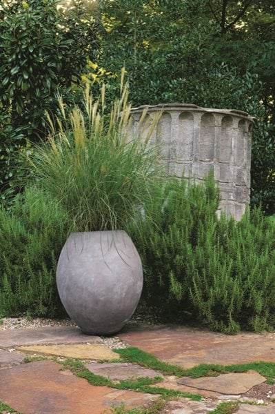 Ornamental Grasses In Pots Gallery Garden Design
