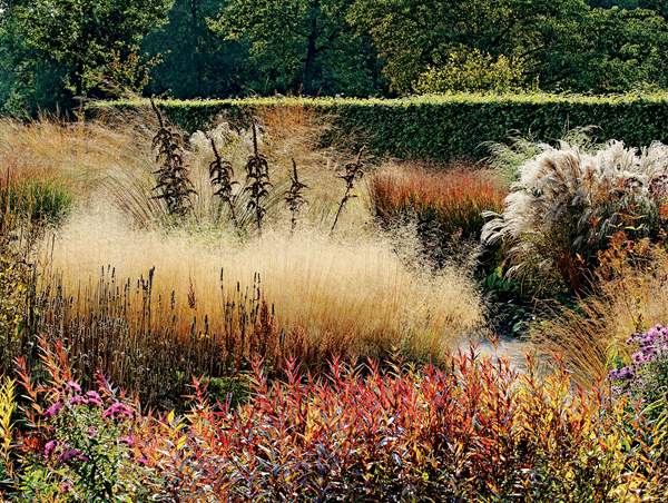 Piet Oudolf's Next Wave, Photo Gallery - Gallery | Garden Design