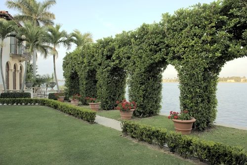 Sanchez & Maddux: The Civilized Jungle - Gallery | Garden Design