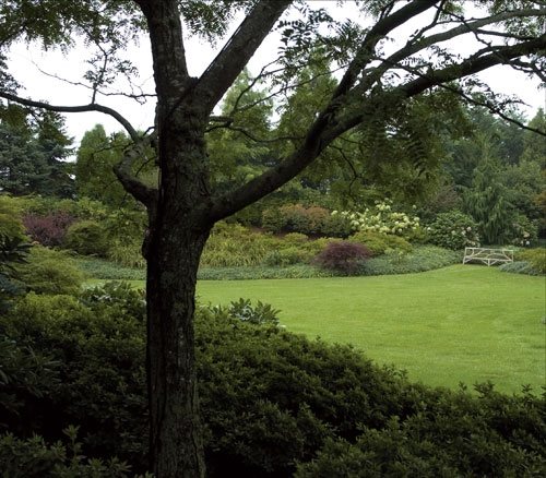 Sanchez & Maddux: The Civilized Jungle - Gallery | Garden Design