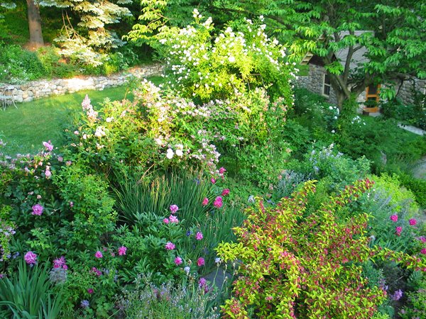 Starting Green - Gallery | Garden Design